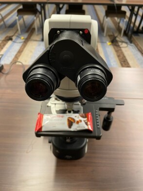 Surgical Pathology Committee | College of American Pathologists