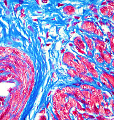 Homepage | College of American Pathologists