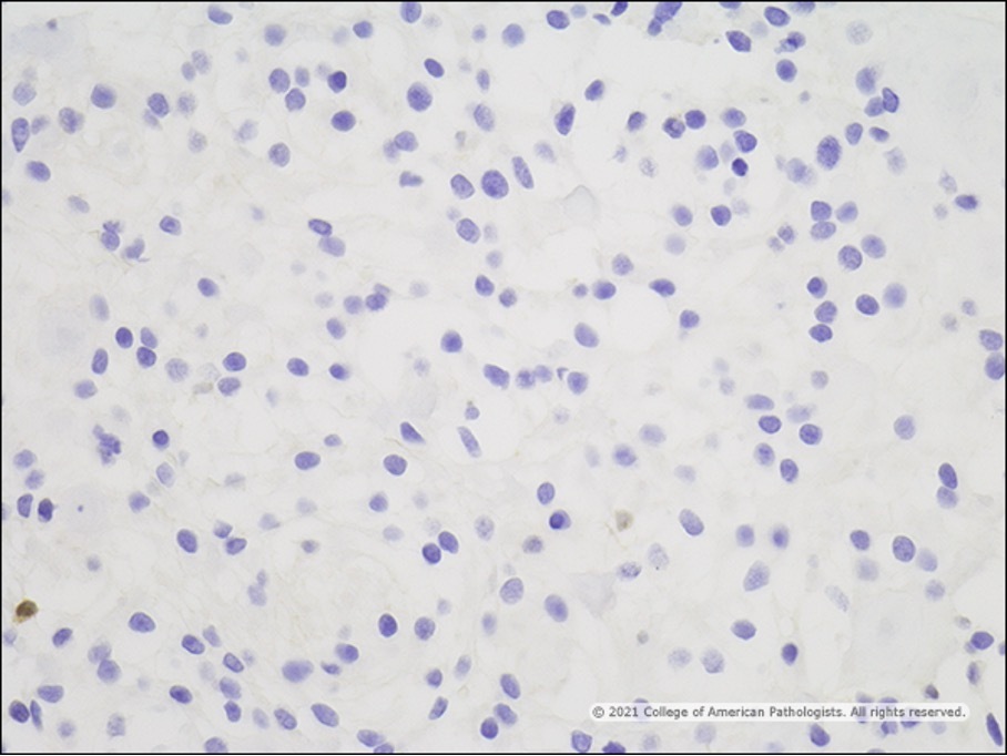 2021 NPA-01 | College of American Pathologists