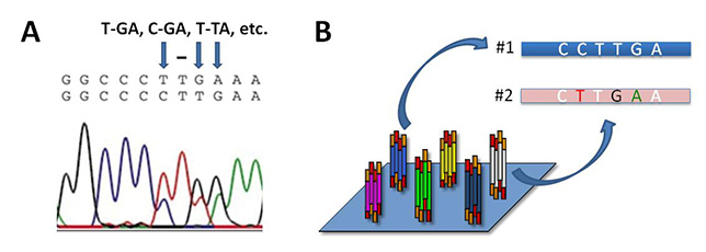 Next-Generation Sequencing for HLA… | College of American Pathologists